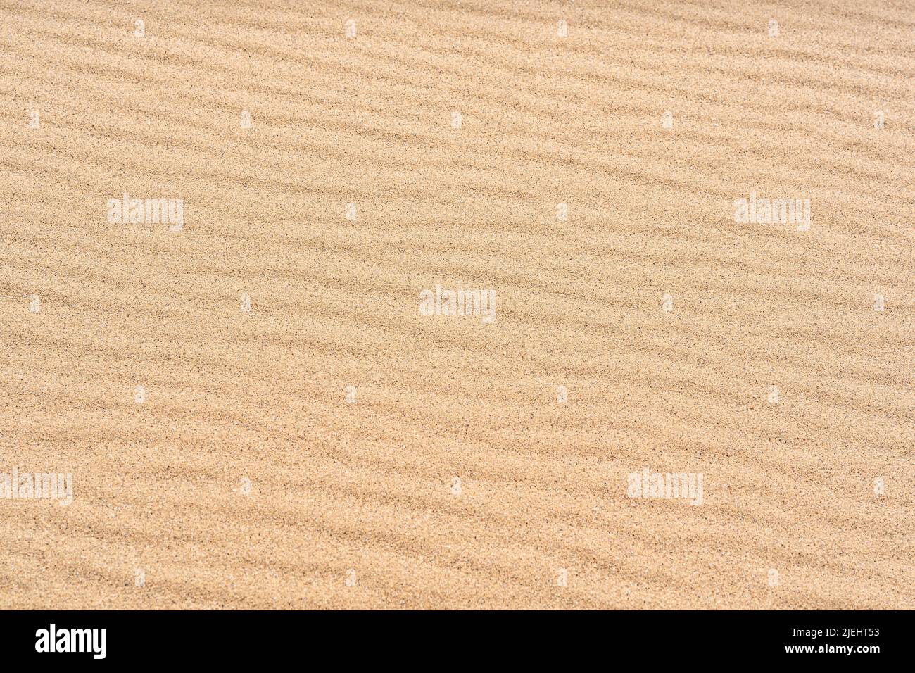 wind ripples on the sandy surface in the desert Stock Photo - Alamy