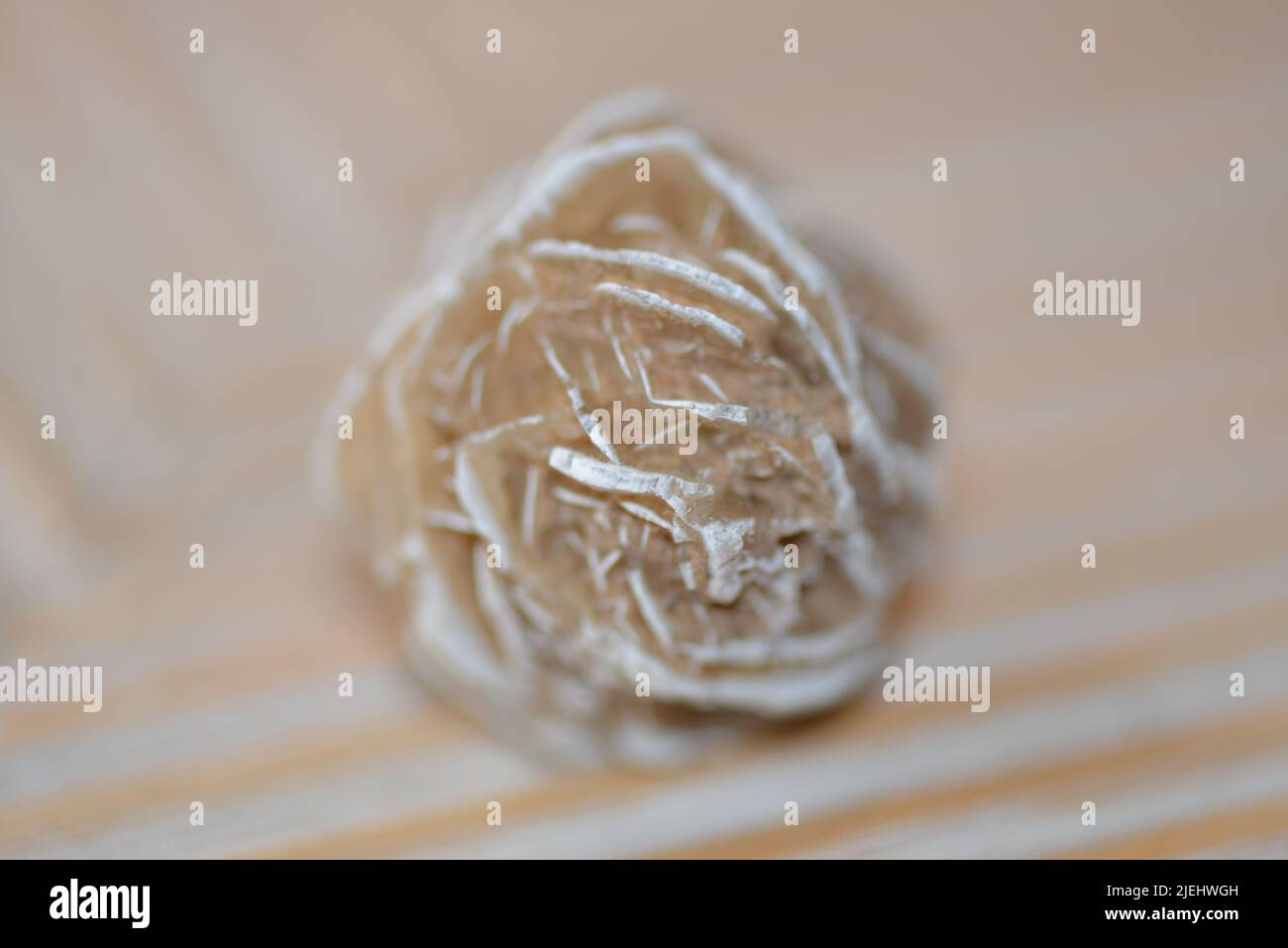 Sahara rose hi-res stock photography and images - Alamy