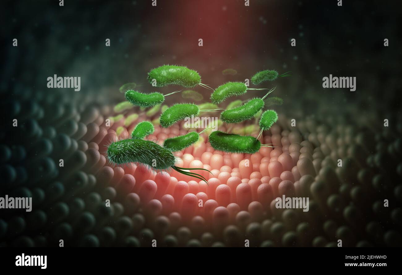 Parasites microscope hi-res stock photography and images - Alamy