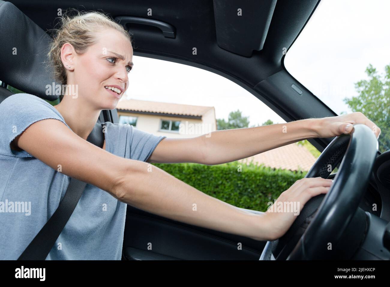 Angry honking hi-res stock photography and images - Alamy