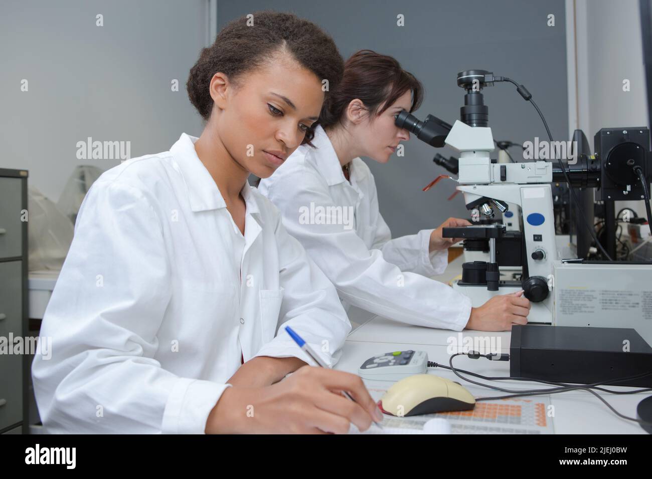 portrait of women working in laboratory Stock Photo - Alamy