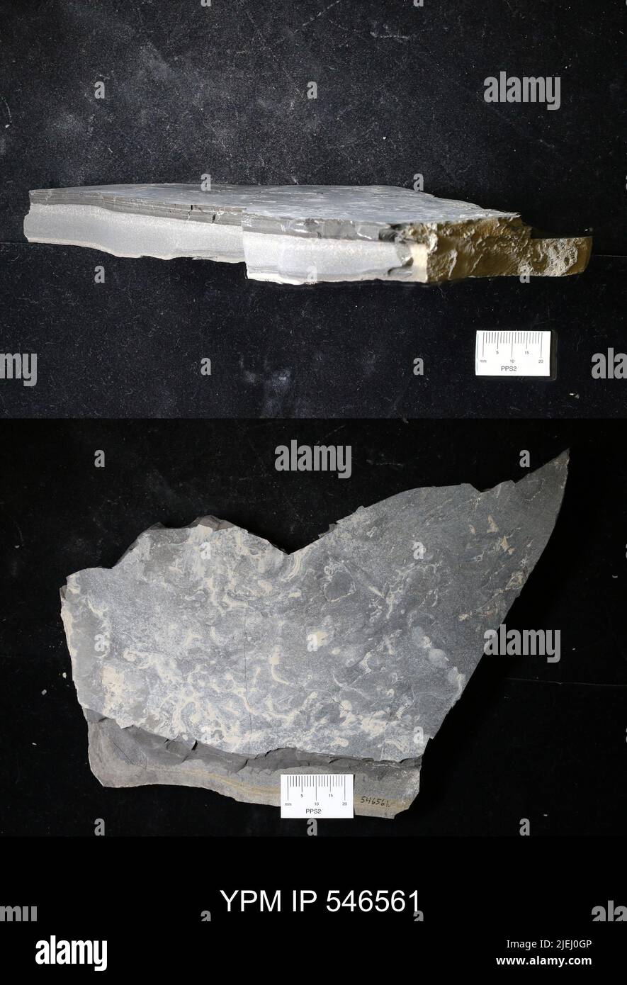 Lithologic hi-res stock photography and images - Alamy