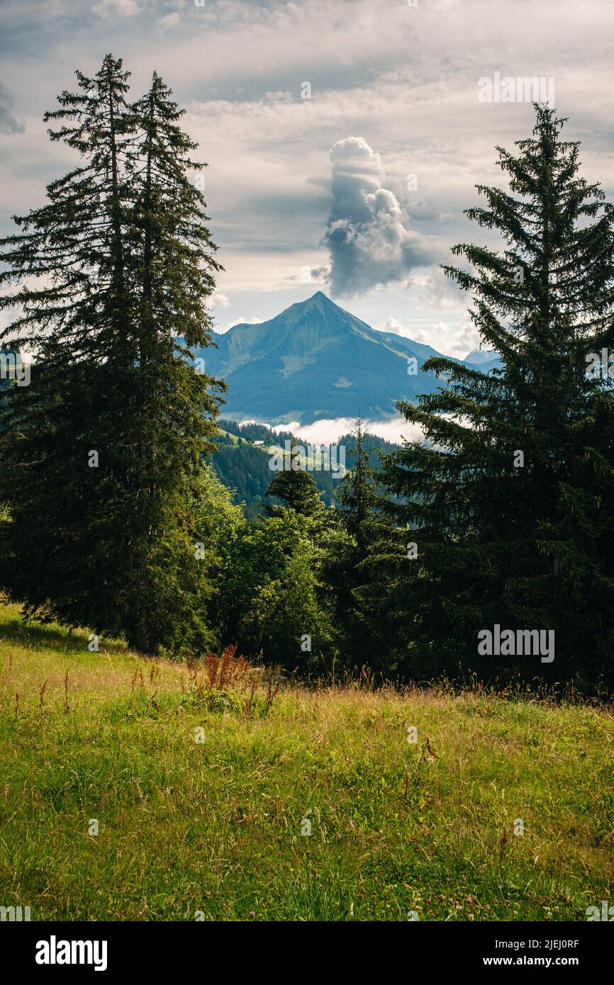 Canton of vau hi-res stock photography and images - Alamy