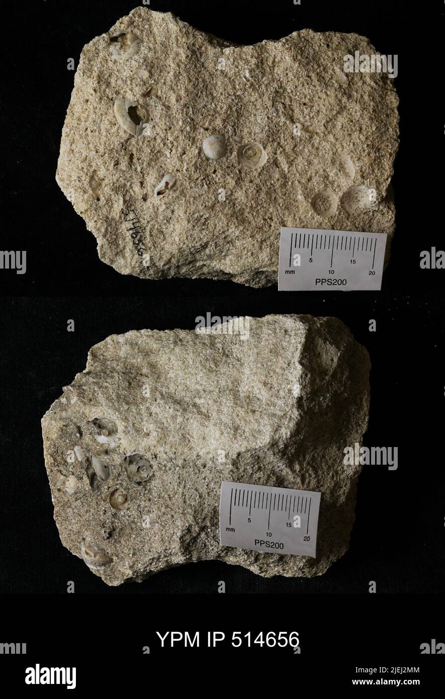 Gulick hi-res stock photography and images - Alamy