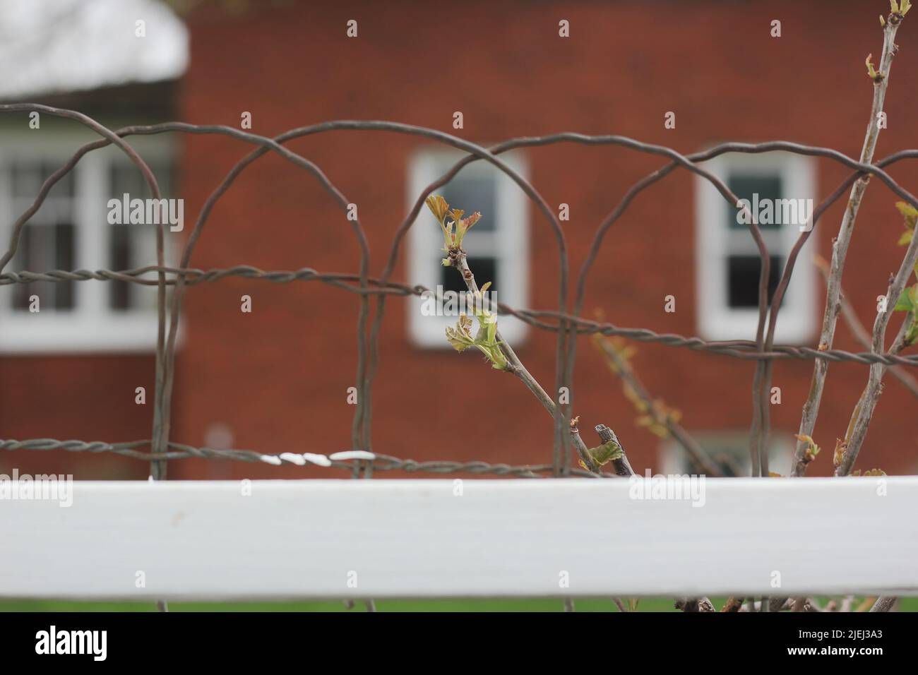 Traditional wire fence surrounding the farm Stock Photo - Alamy