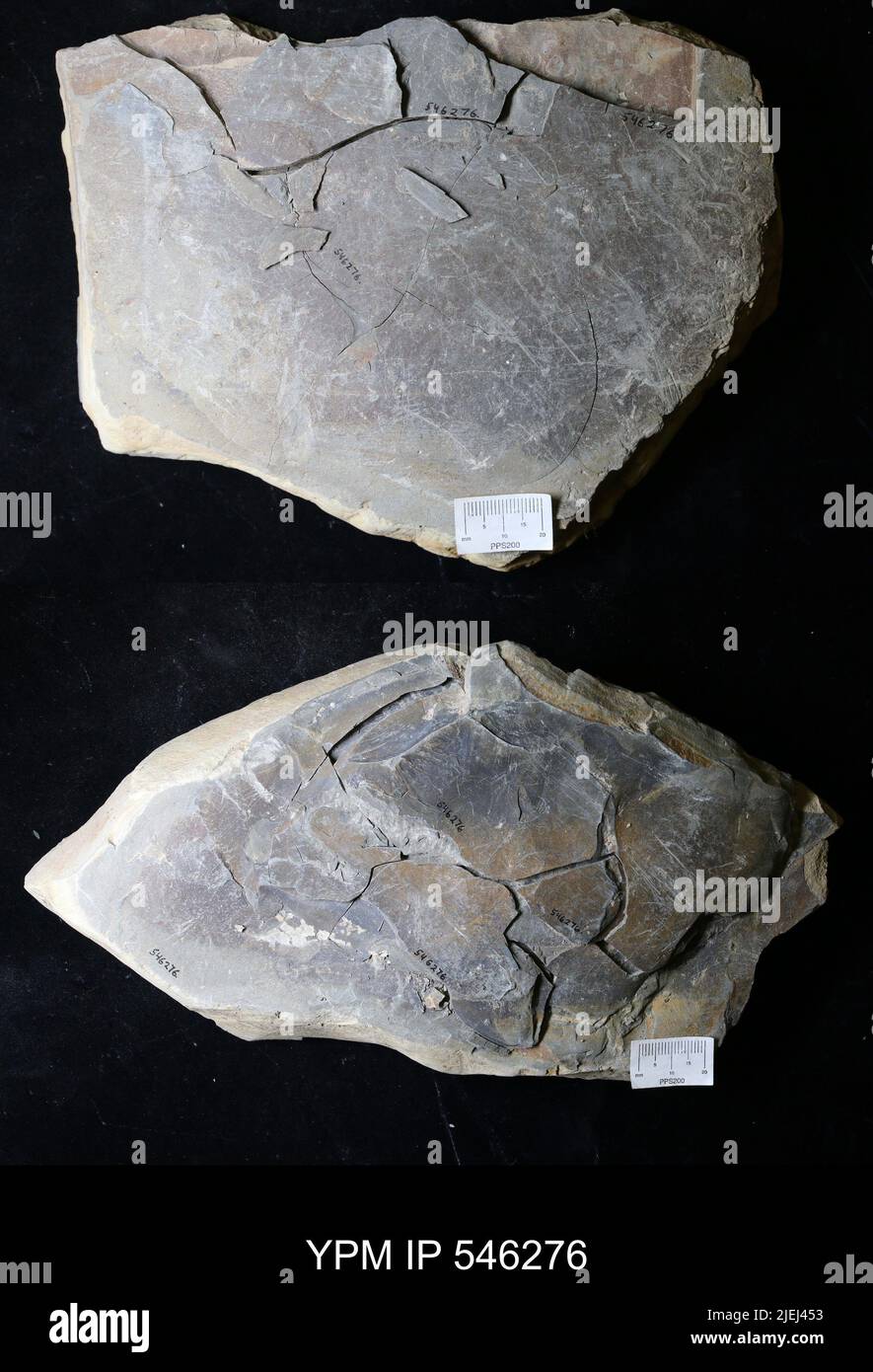 Sedimentary samples hi-res stock photography and images - Alamy