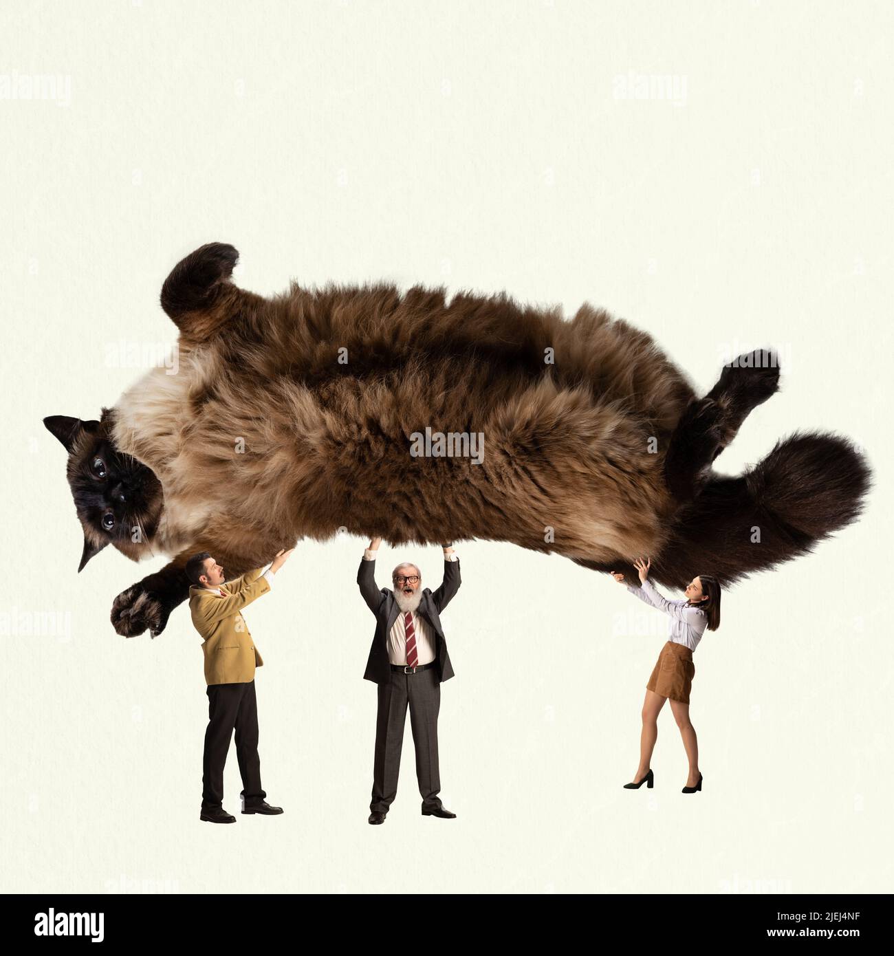 Contemporary art collage. Creative design. Employees, business people ...