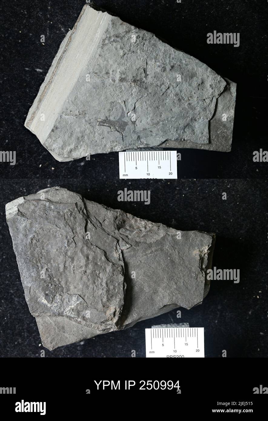 Lithologic hi-res stock photography and images - Alamy