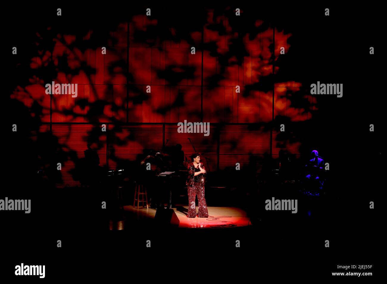 New York, NY, USA. 25th June, 2022. Debbie Wileman performing in her ...