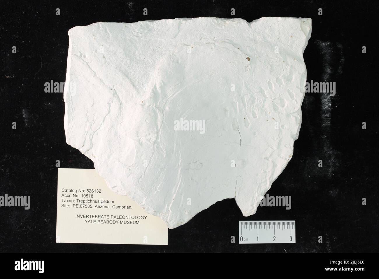 Pedum hi-res stock photography and images - Alamy