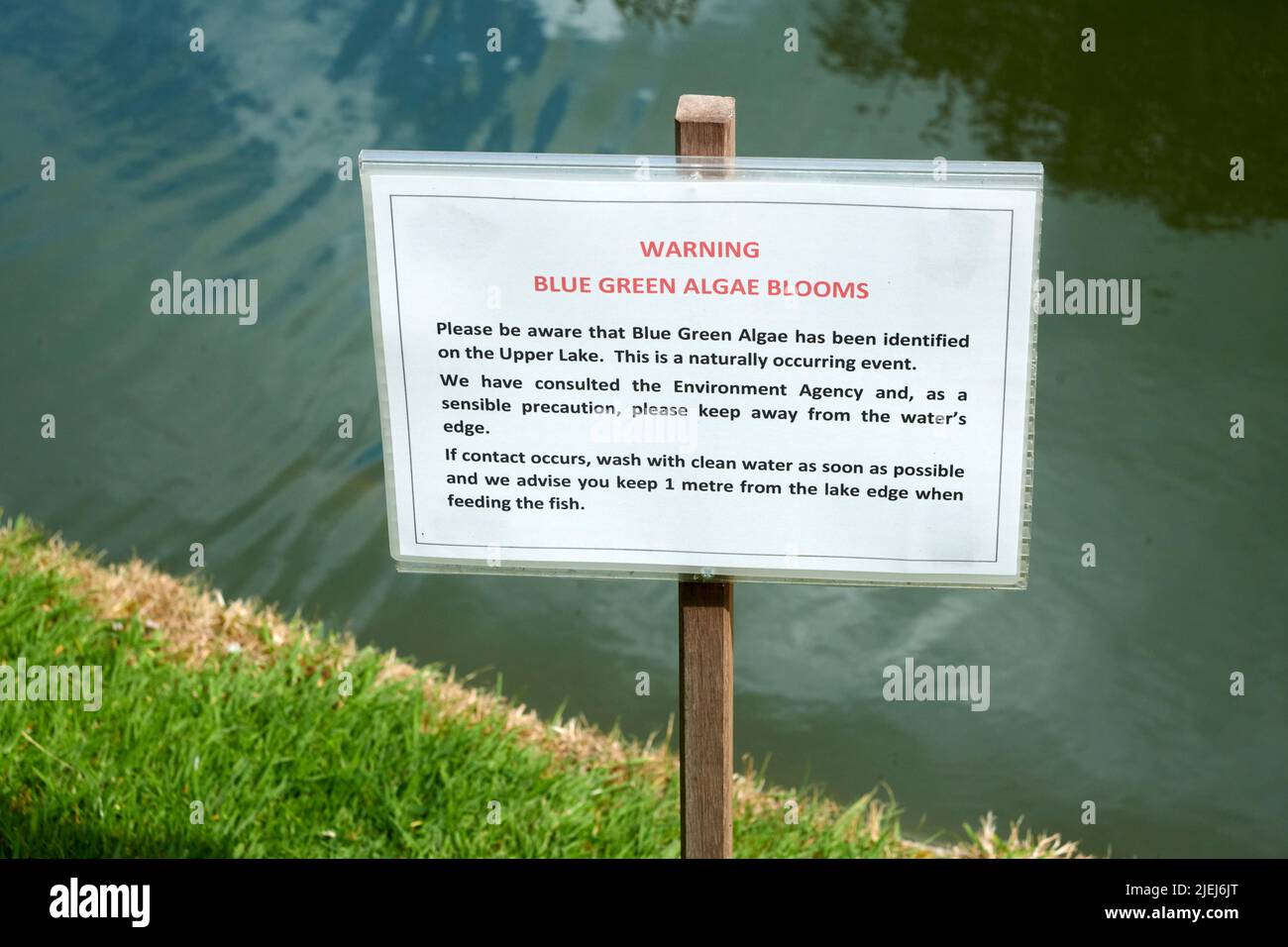 Blue-green algae bloom warning sign at a lake in the summer in East ...
