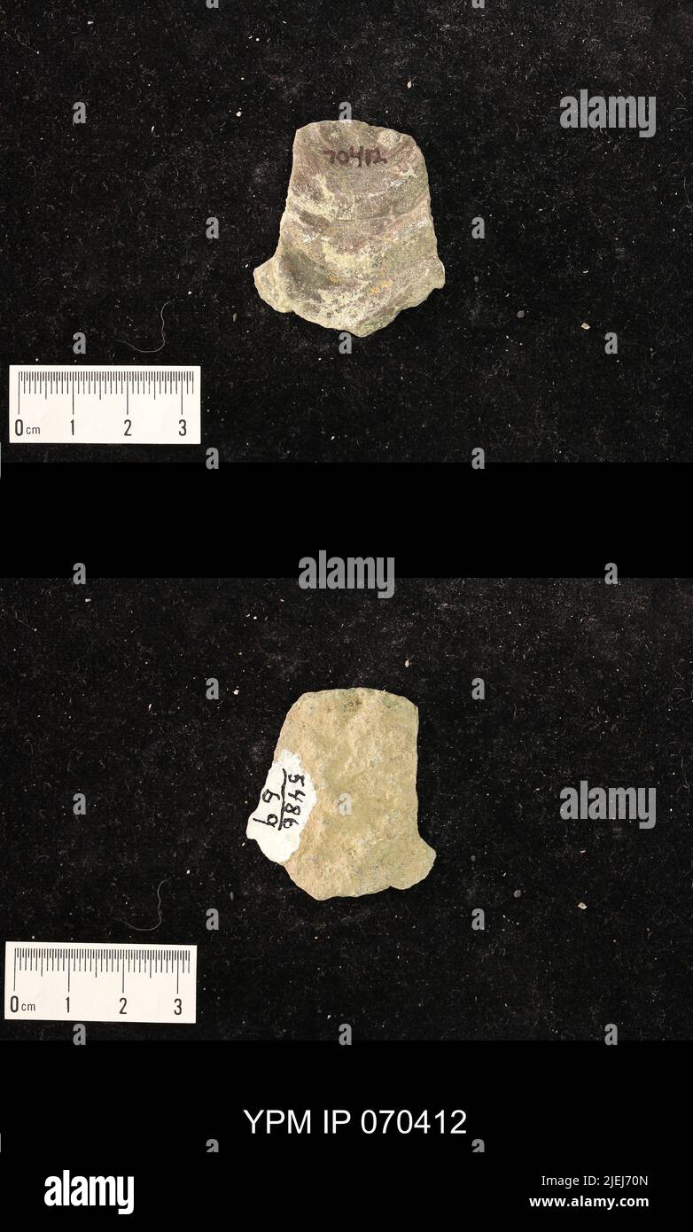 Heliolites hi-res stock photography and images - Alamy