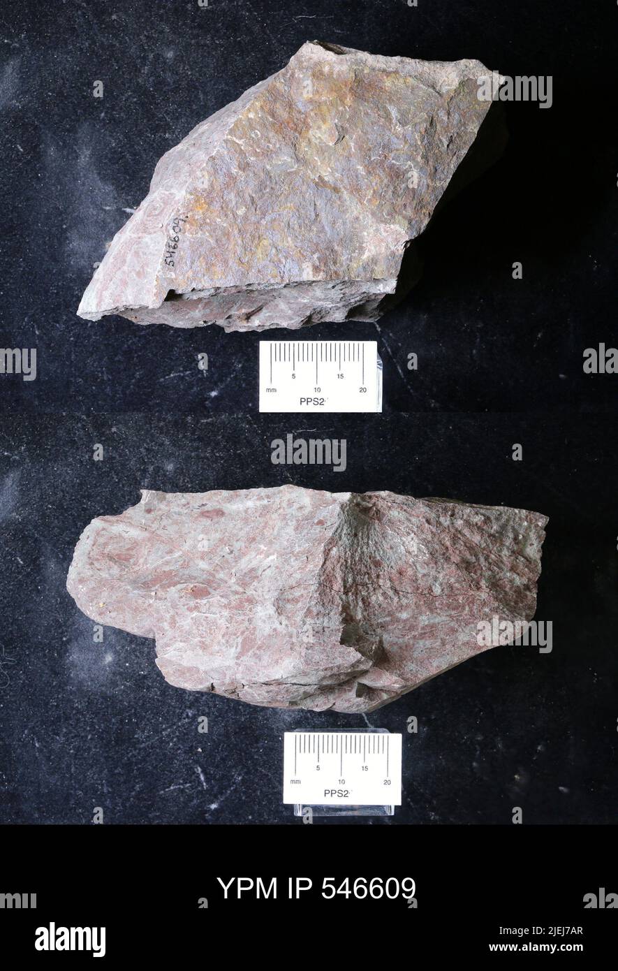 Lithologic hi-res stock photography and images - Alamy