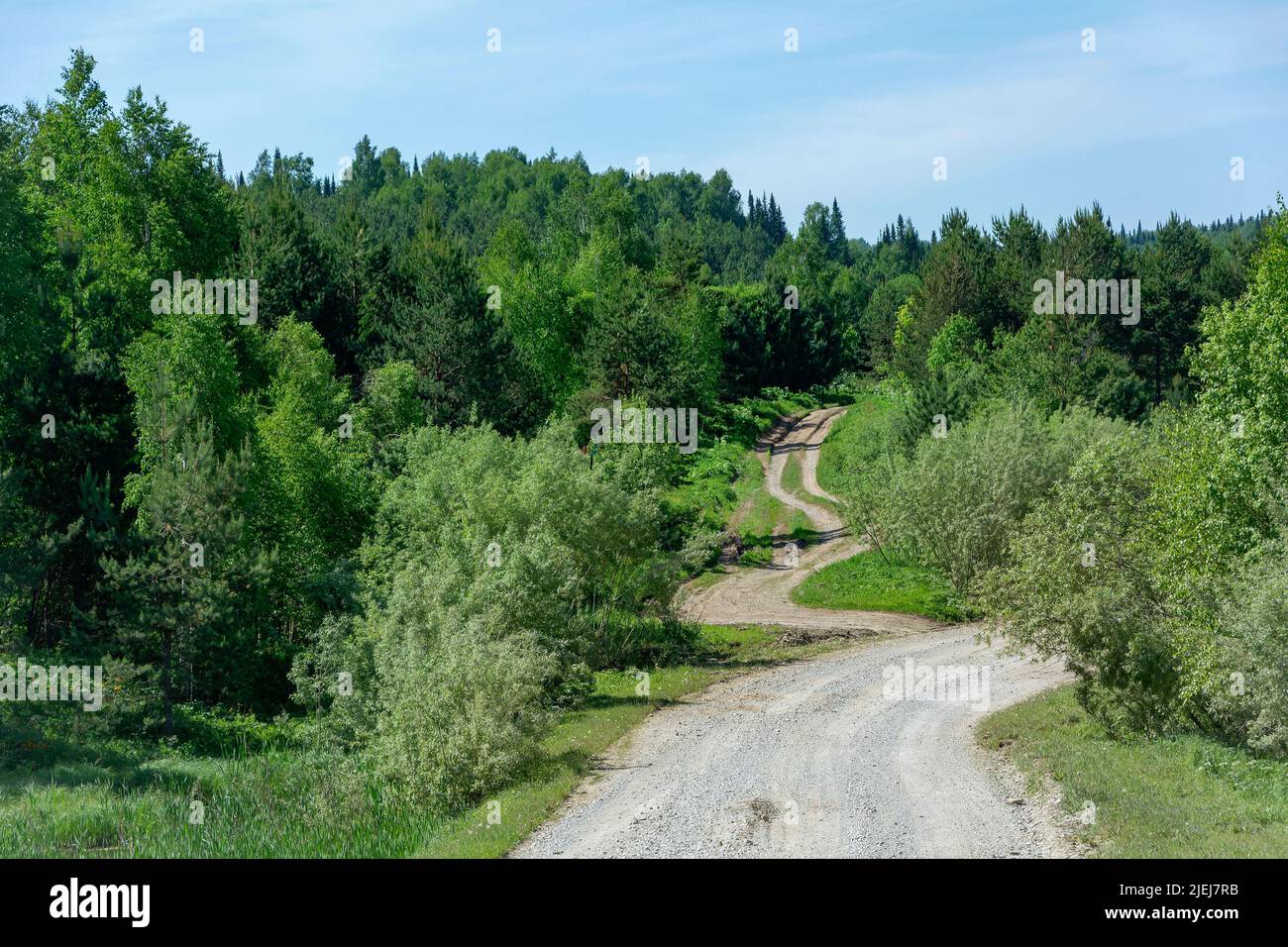 Gravel road in a picturesque taiga area, Kemerovo region-Kuzbass Stock ...