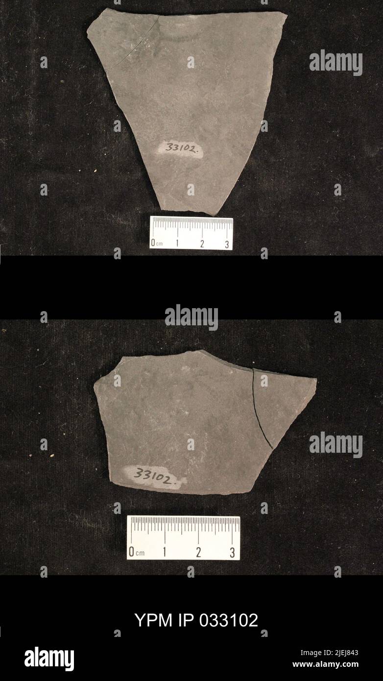 1867 animalia hi-res stock photography and images - Alamy