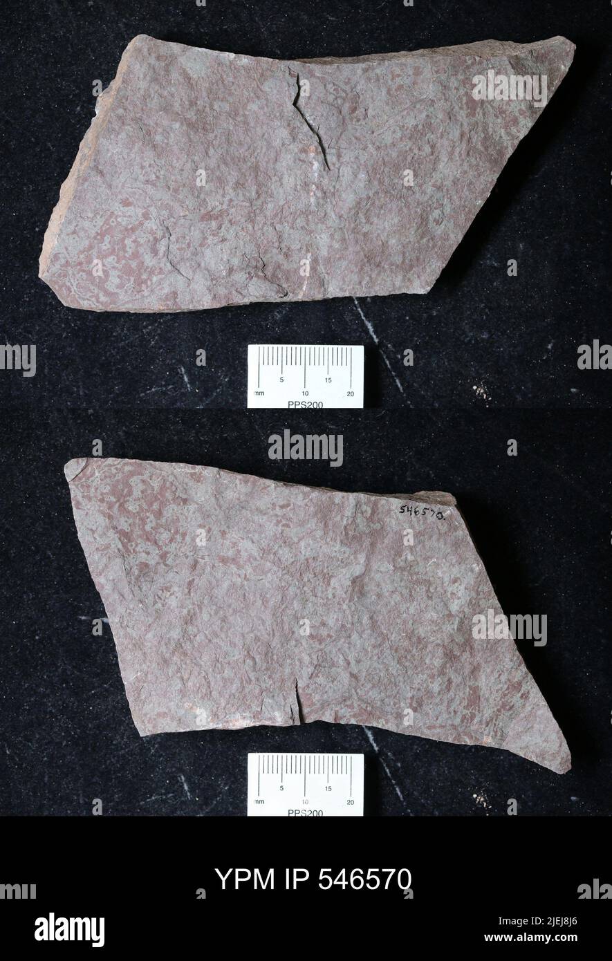 Lithologic hi-res stock photography and images - Alamy