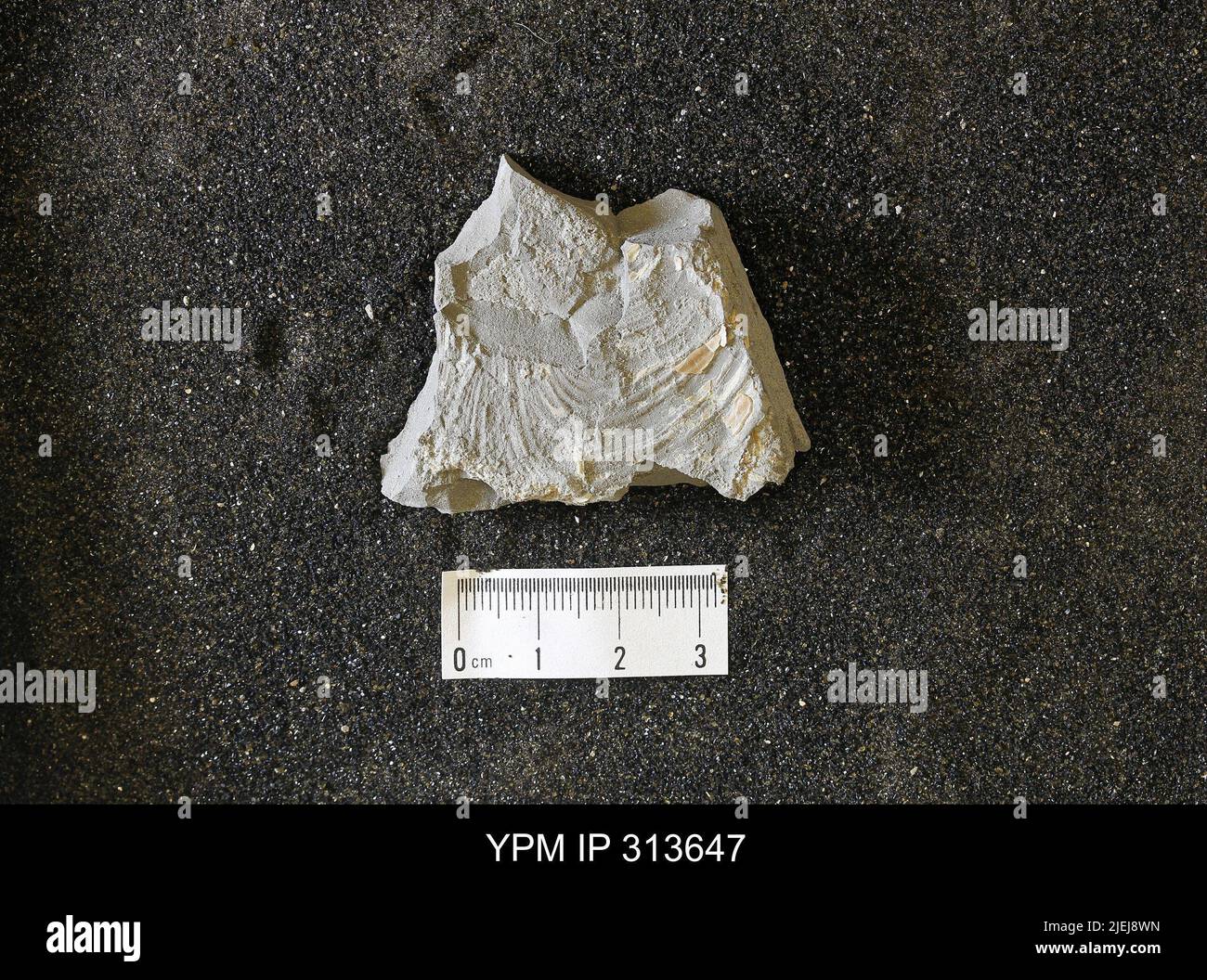 Sediment grain size analysis hi-res stock photography and images - Alamy