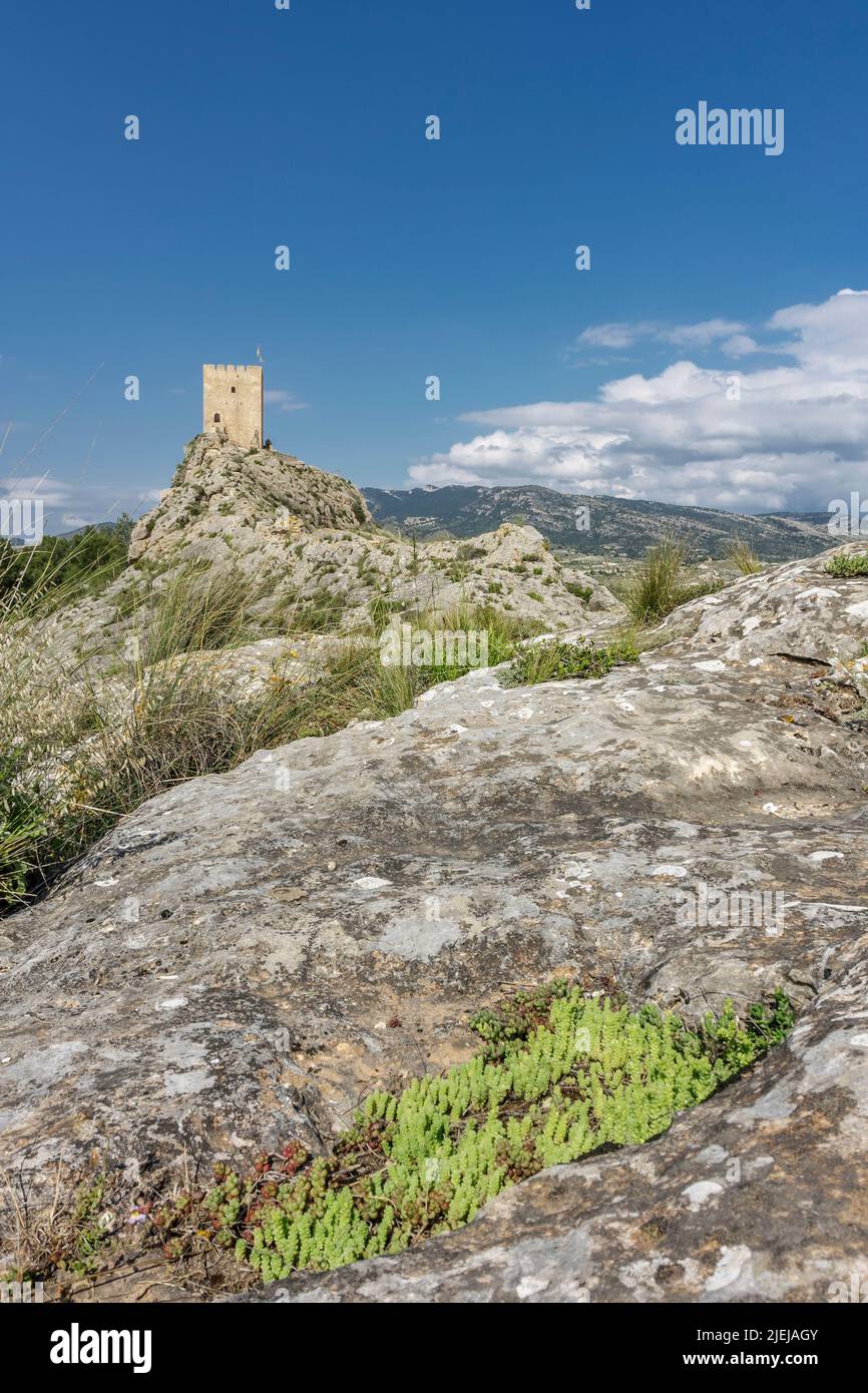 Castle at Sax, Alicante province, Spain Stock Photo - Alamy