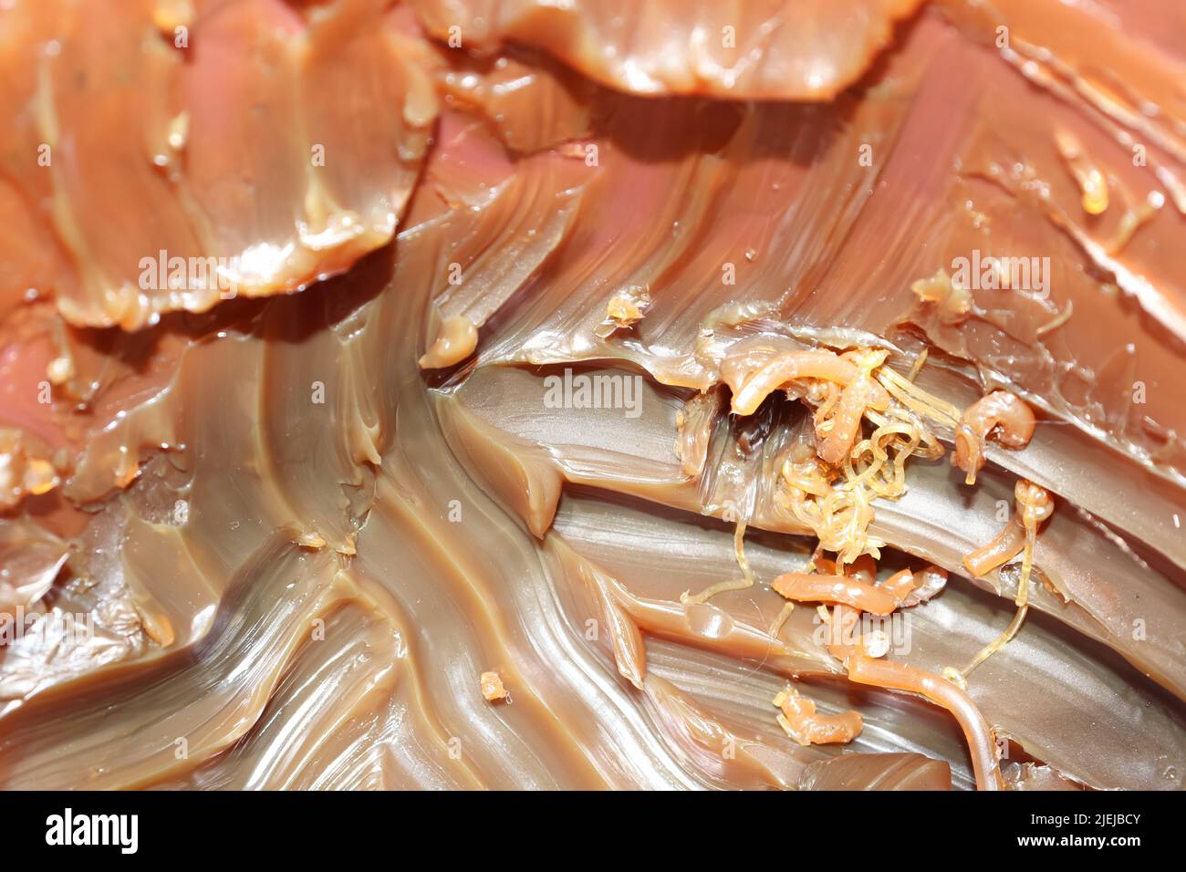 Grease used in industry for slippery materials Stock Photo - Alamy