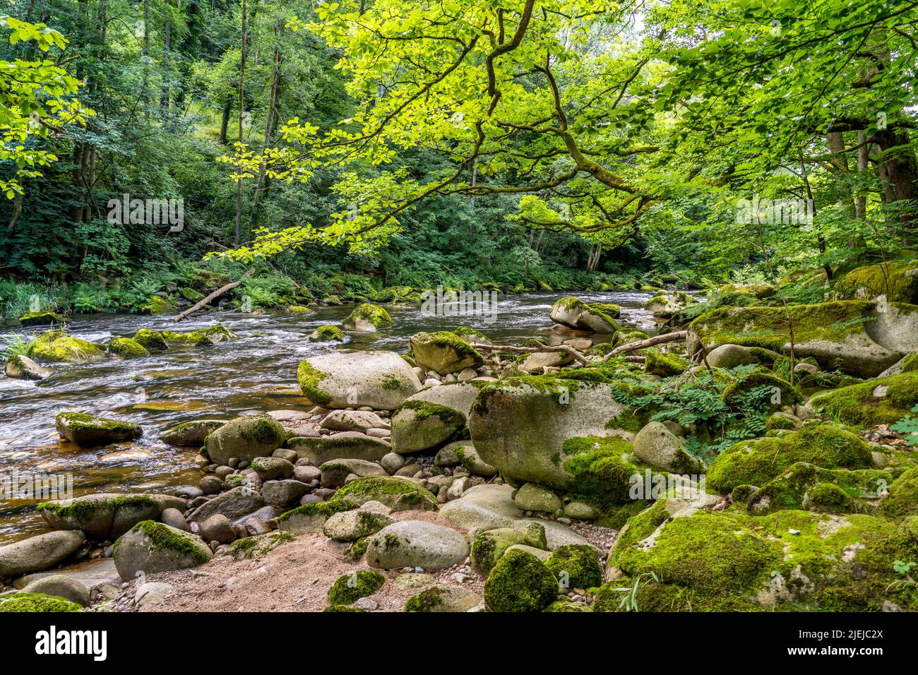 Württemberg landschaft hi-res stock photography and images - Alamy
