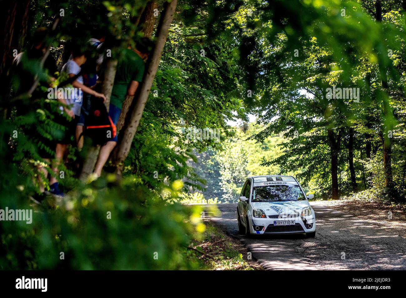 Nicol baricevic hi-res stock photography and images - Alamy