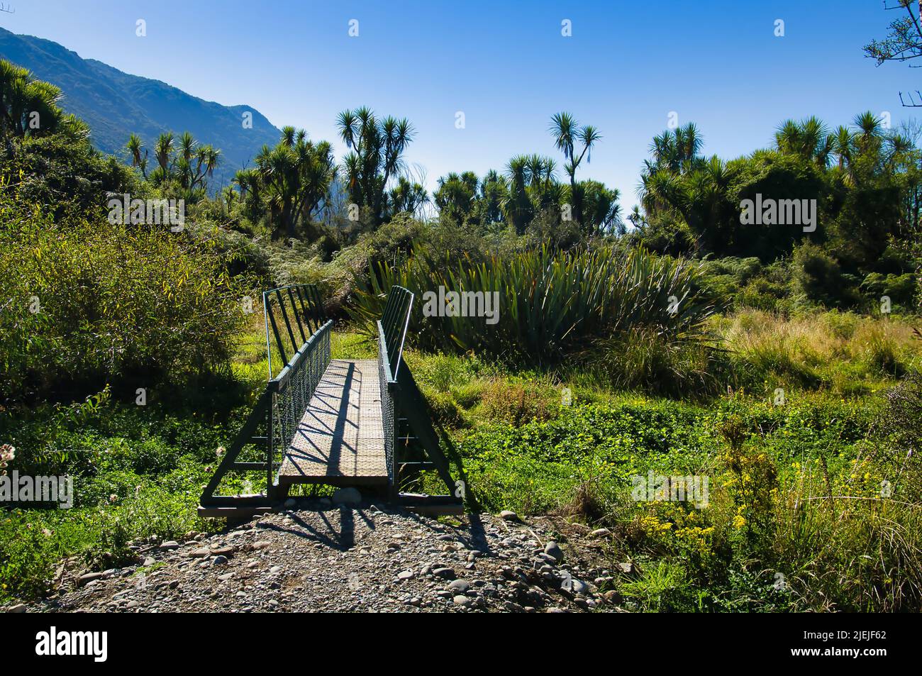 Footbridge along the walking track through the Rakatu Wetlands ...