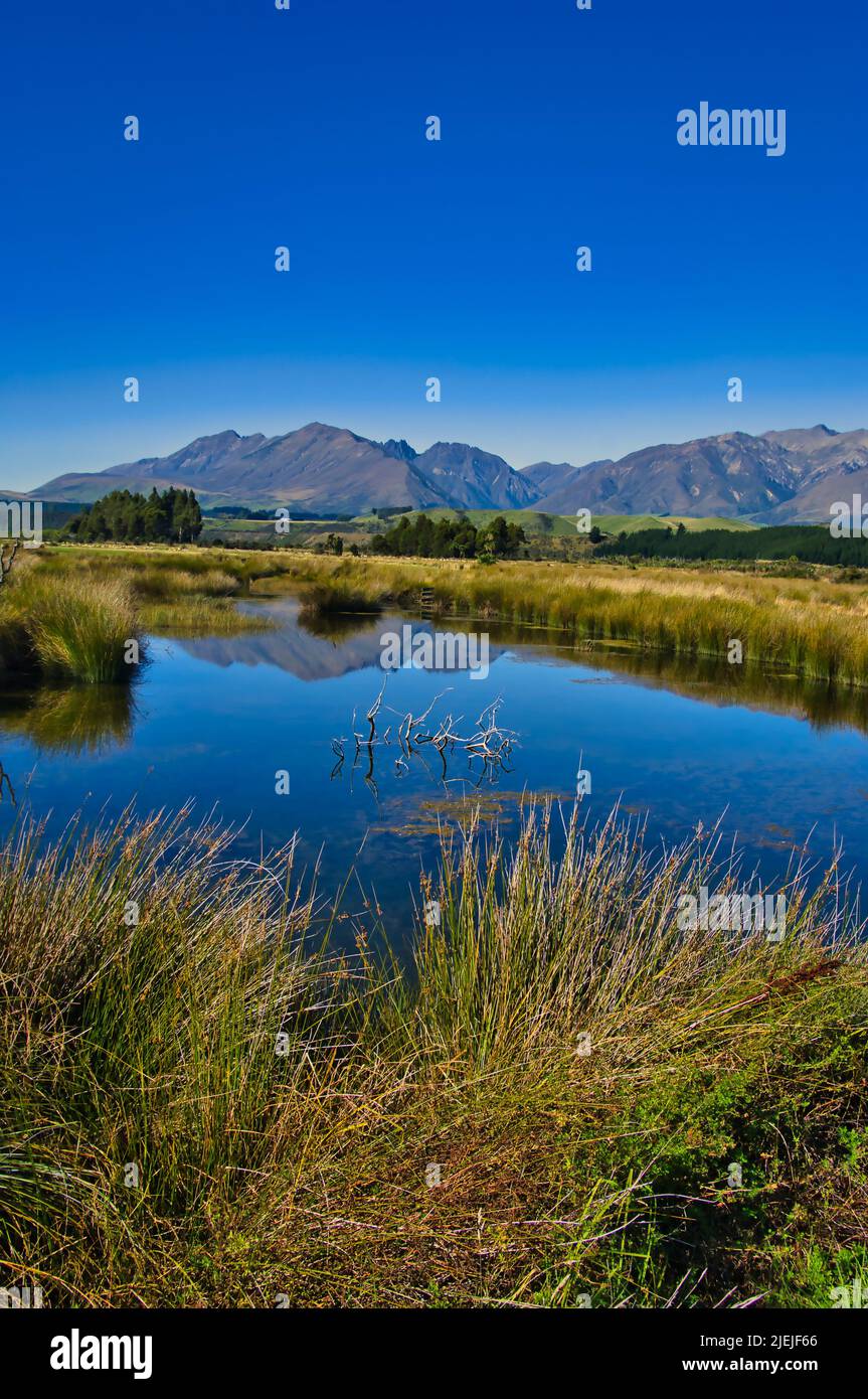 Rakatu wetlands hi-res stock photography and images - Alamy