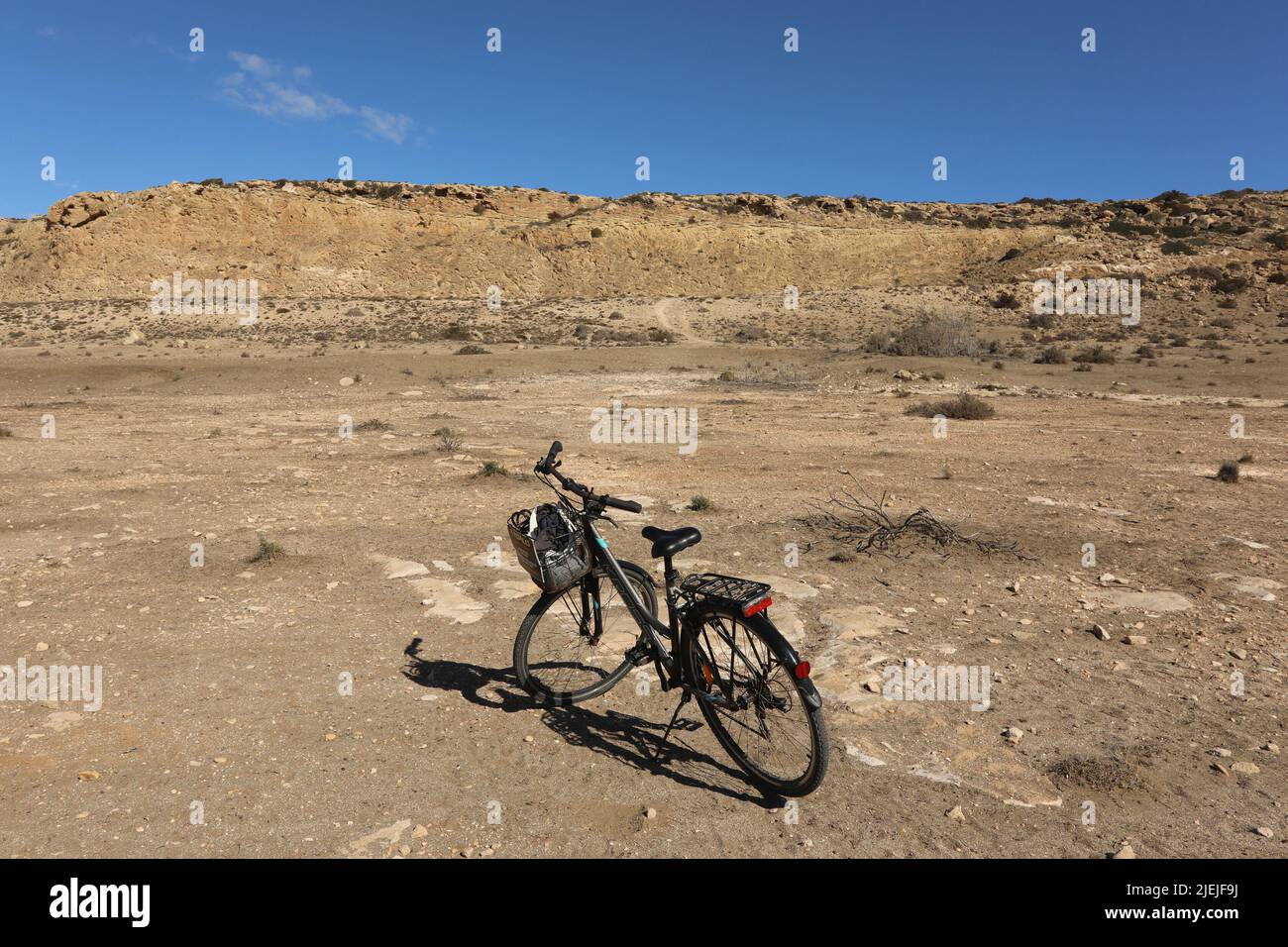 Team desert hi-res stock photography and images - Alamy