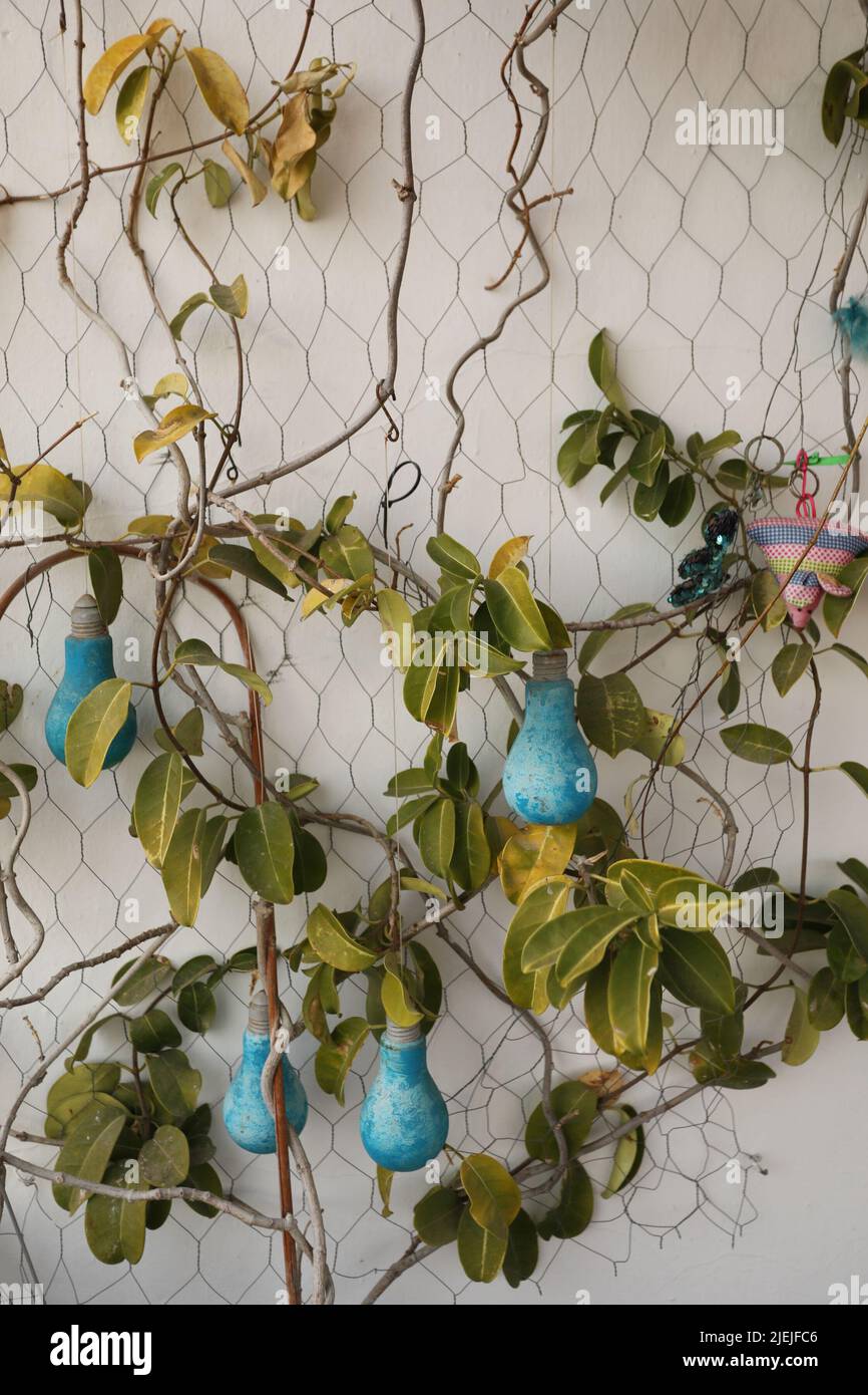 Blue bulbs and leaves hanging on a metallic wire on a white wall for ...