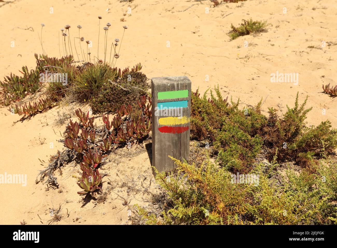 Colorful sign painted on wood on sandy beach with bush around Stock ...