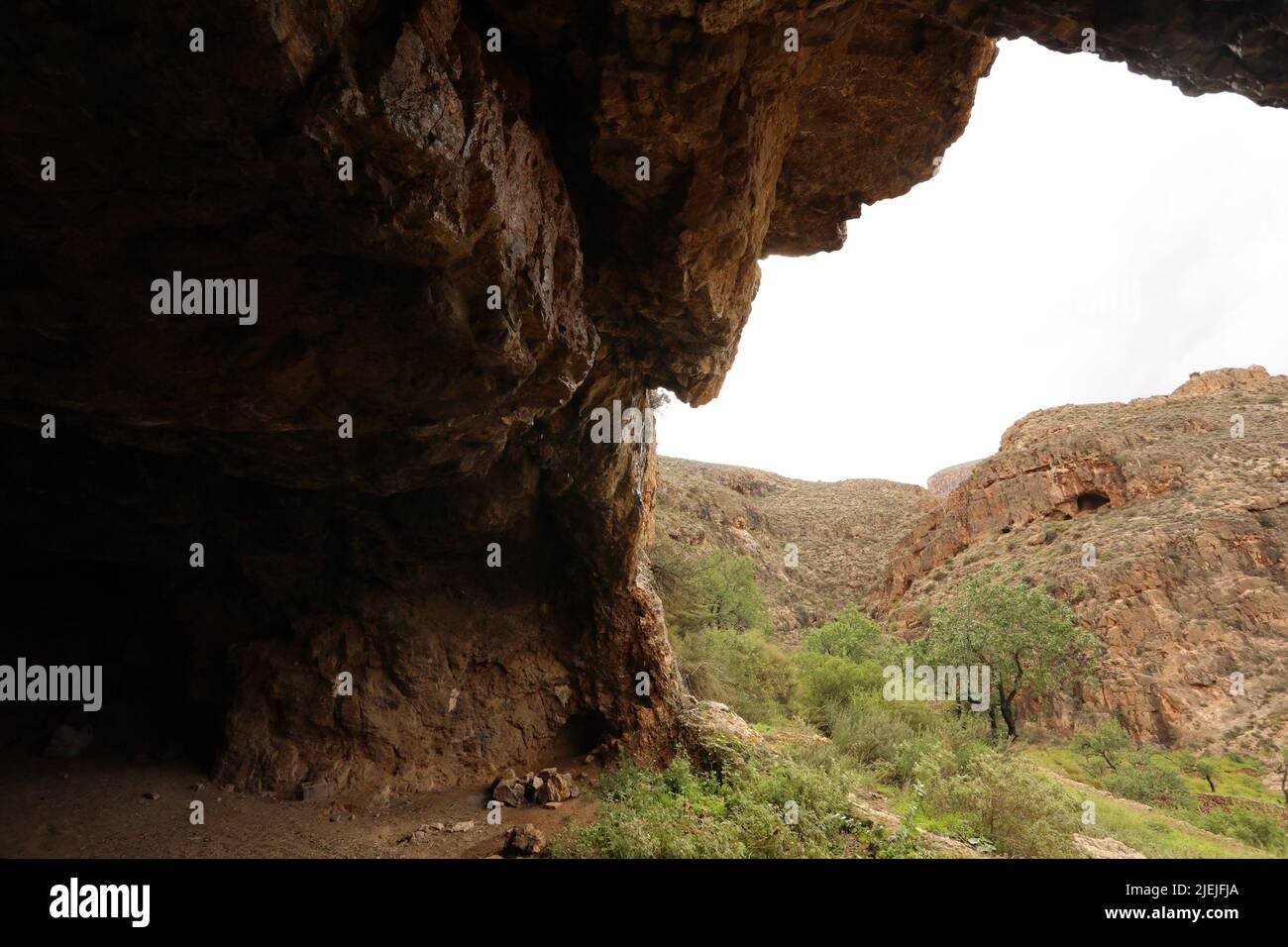 Inhabitants of the mountains hi-res stock photography and images - Alamy