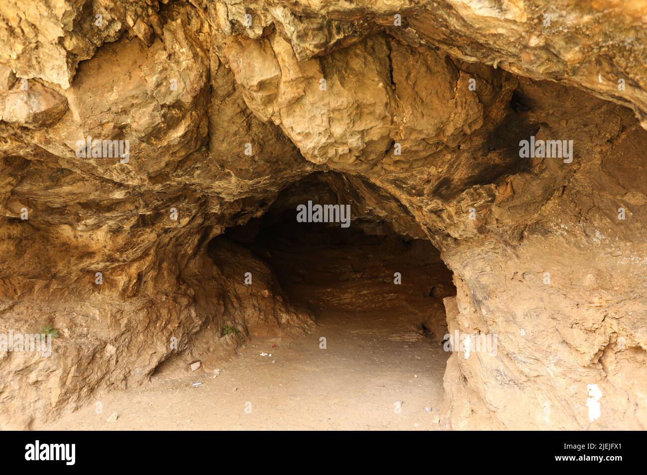 Inhabitants of the mountains hi-res stock photography and images - Alamy