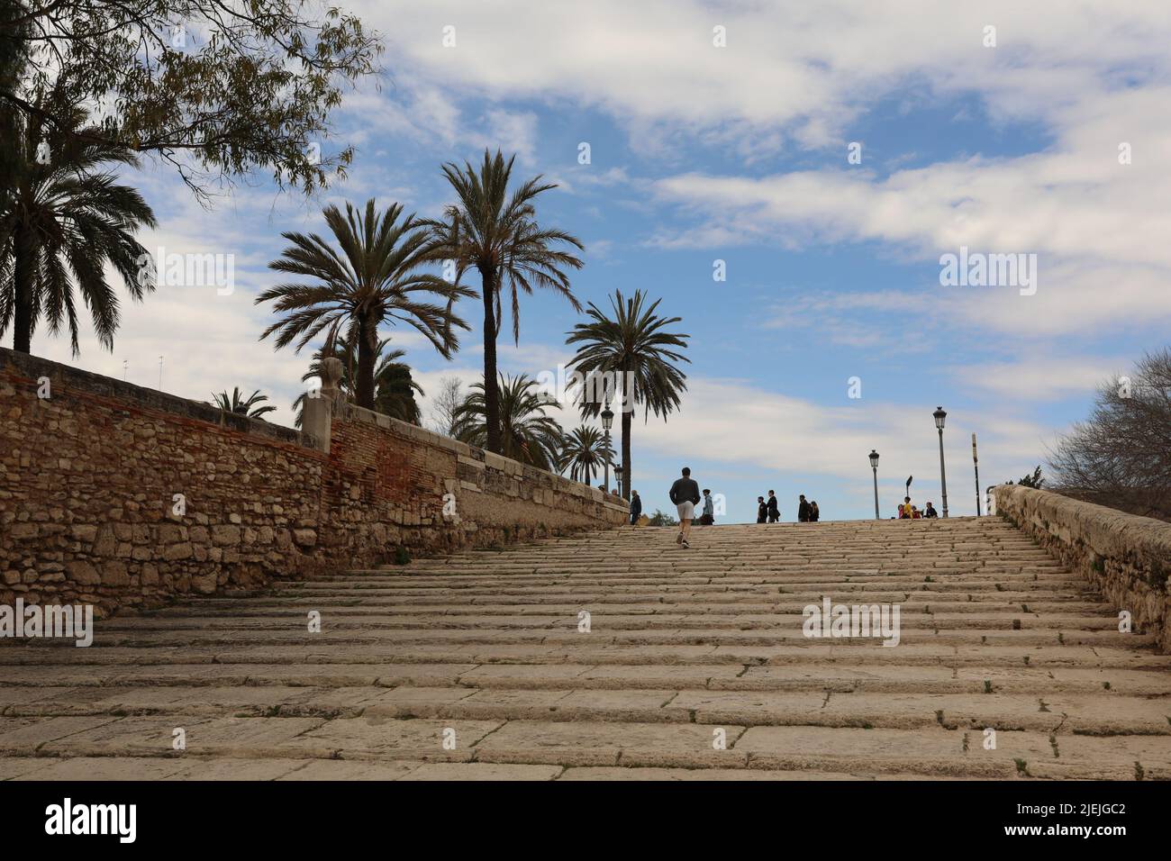 Stairs of bridge with palm trees and blue sky in the city Stock Photo ...