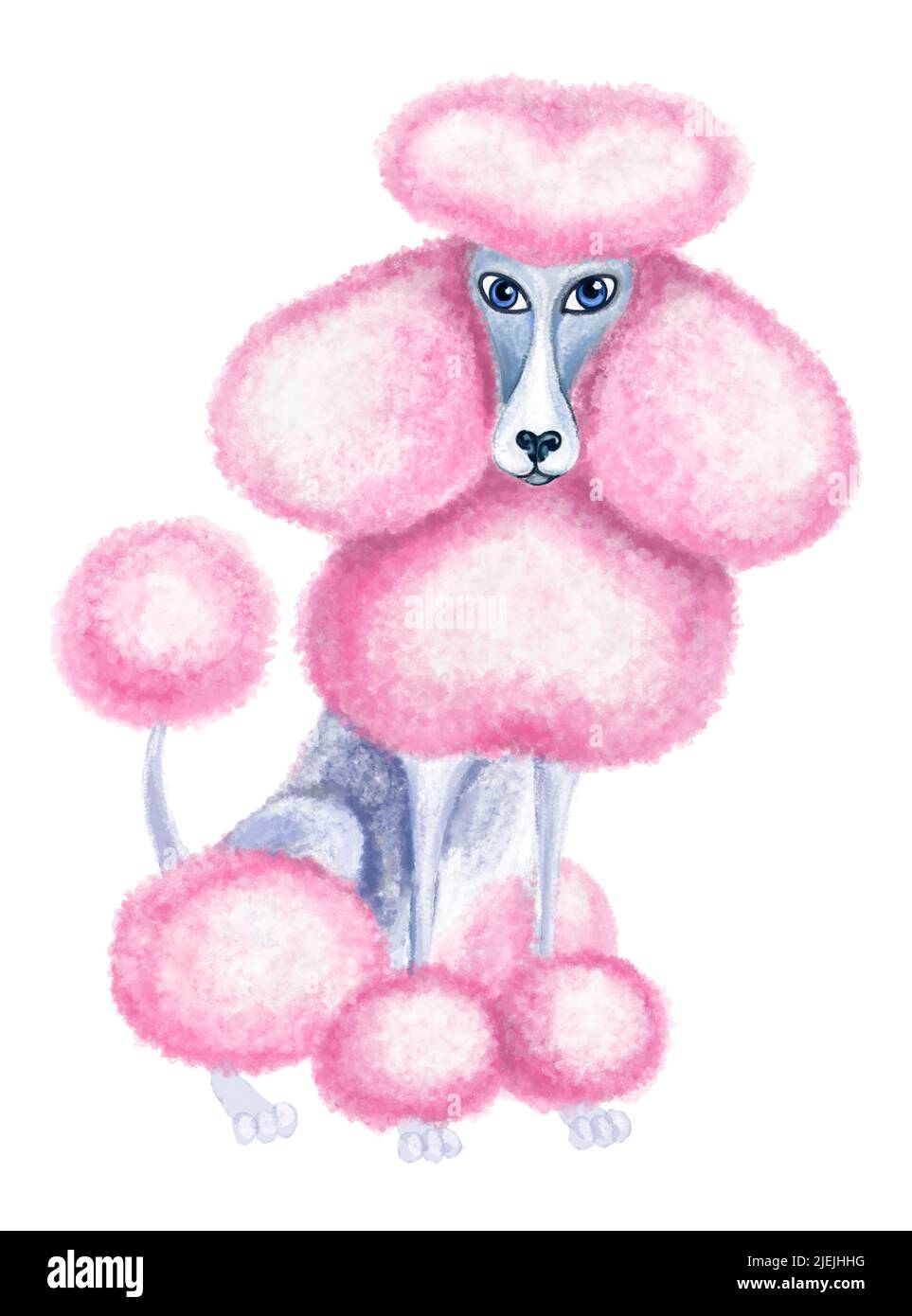 Funny poodle hi-res stock photography and images - Alamy