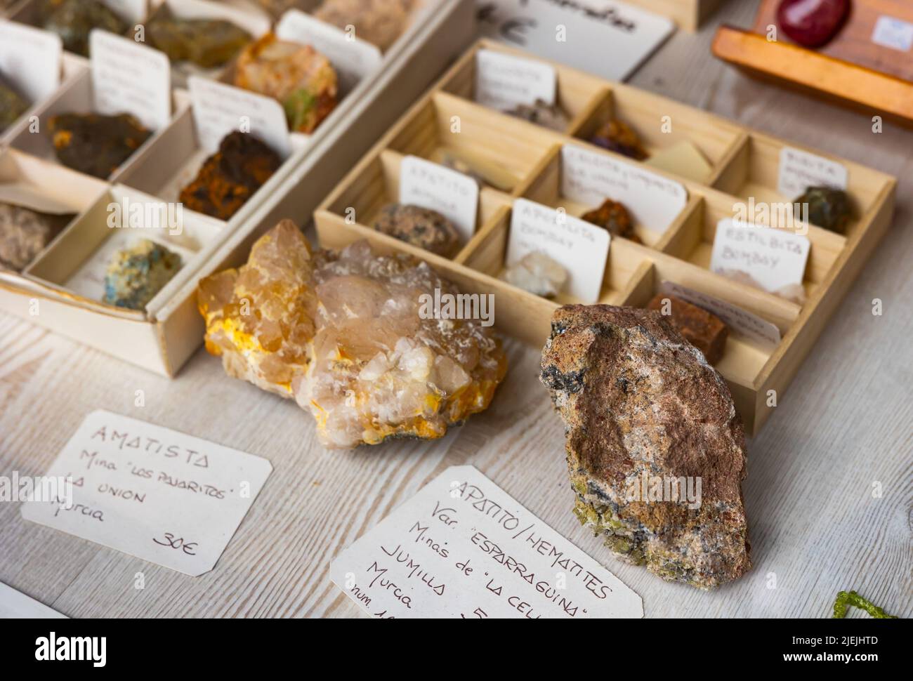 Fossil and mineral store hi-res stock photography and images - Alamy