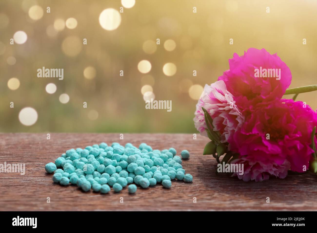 Urea and flower are blooming Stock Photo - Alamy