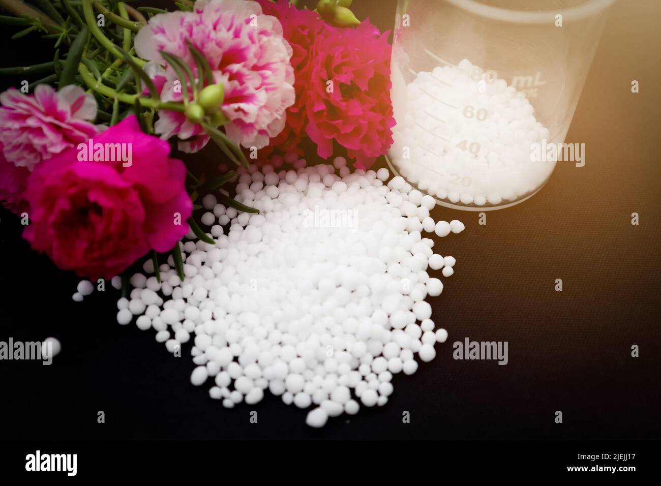 Urea and flower are blooming Stock Photo - Alamy