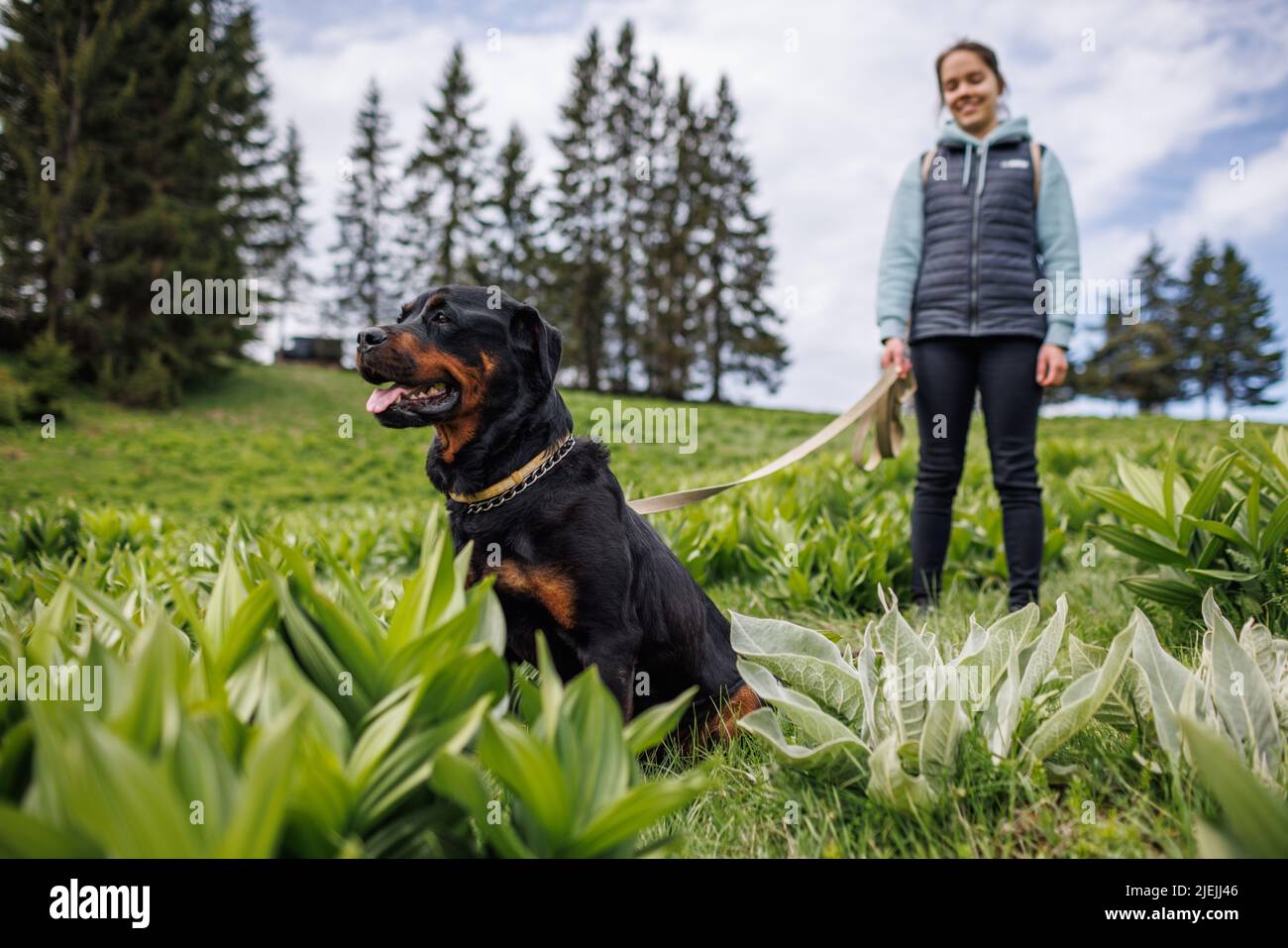 Well mannered hi-res stock photography and images - Alamy