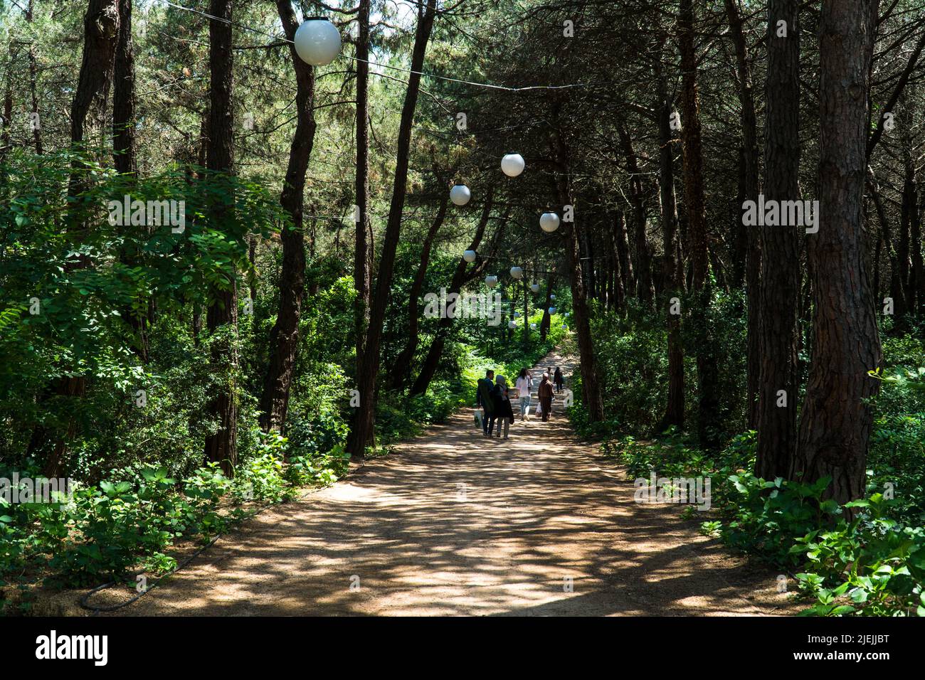 Ataturk Kent Ormani in Istanbul Turkey. Ataturk Forest. Green spaces in ...