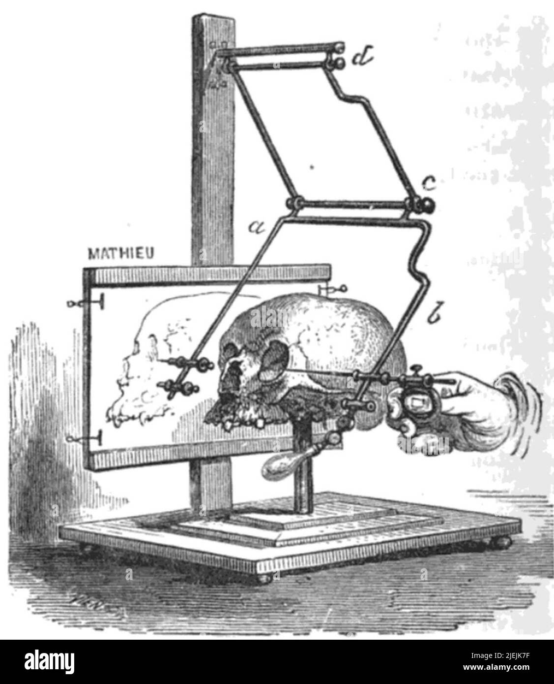 Picture of Stereograph designed by Paul Broca Stock Photo - Alamy