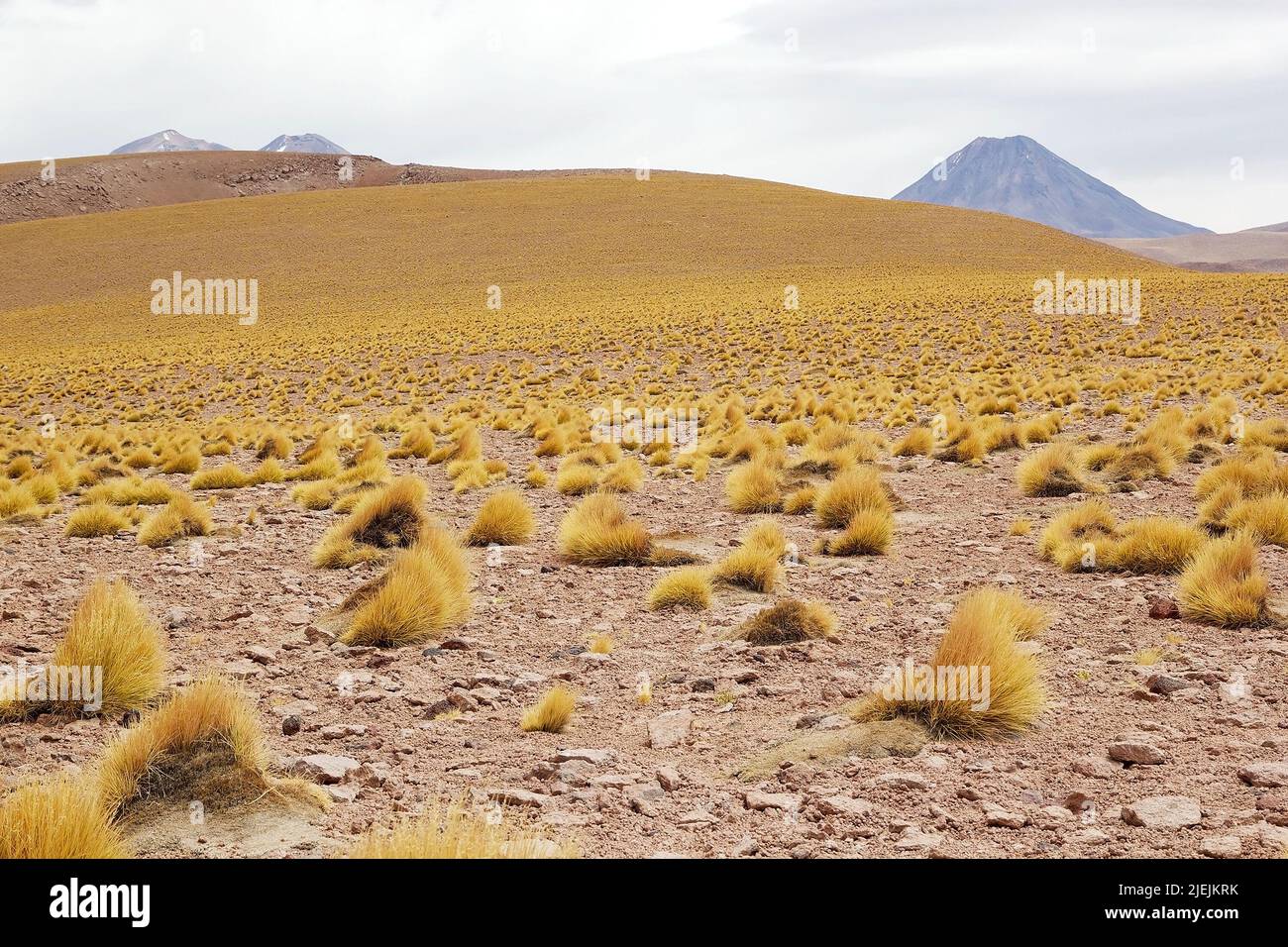Atacama desert landscape with volcano in the background, Chile. Atacama ...