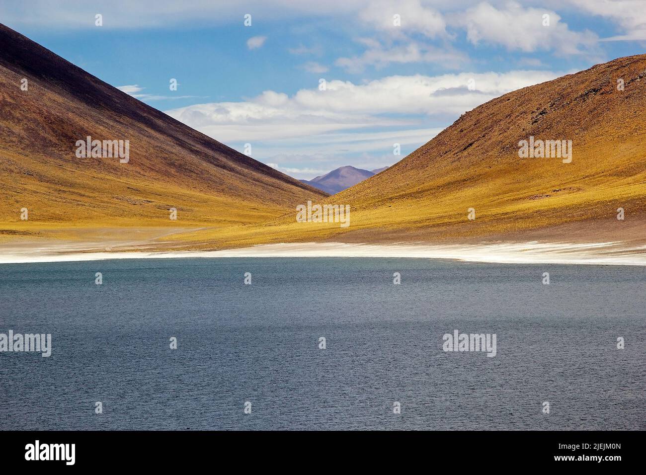 Miniques lagoon landscape in the Atacama desert, Chile. Miniques ...