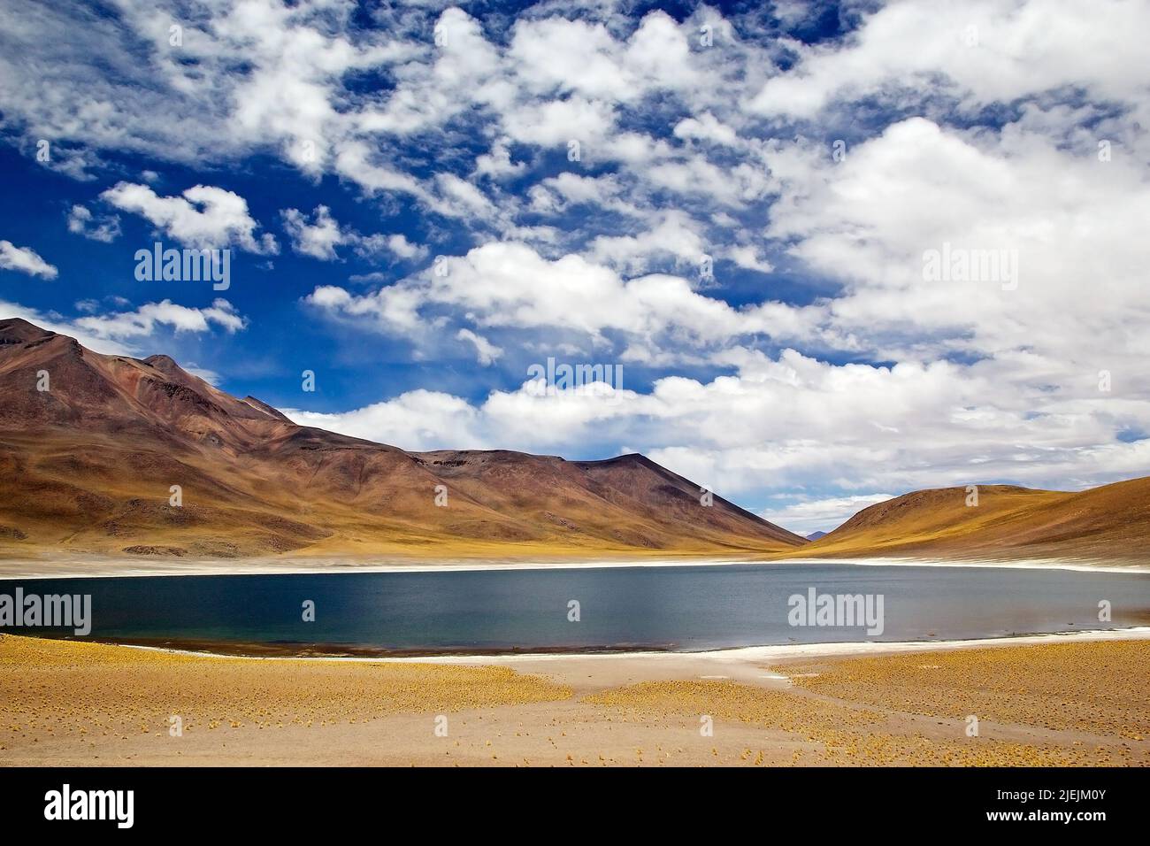 Miniques lagoon landscape in the Atacama desert, Chile. Miniques ...