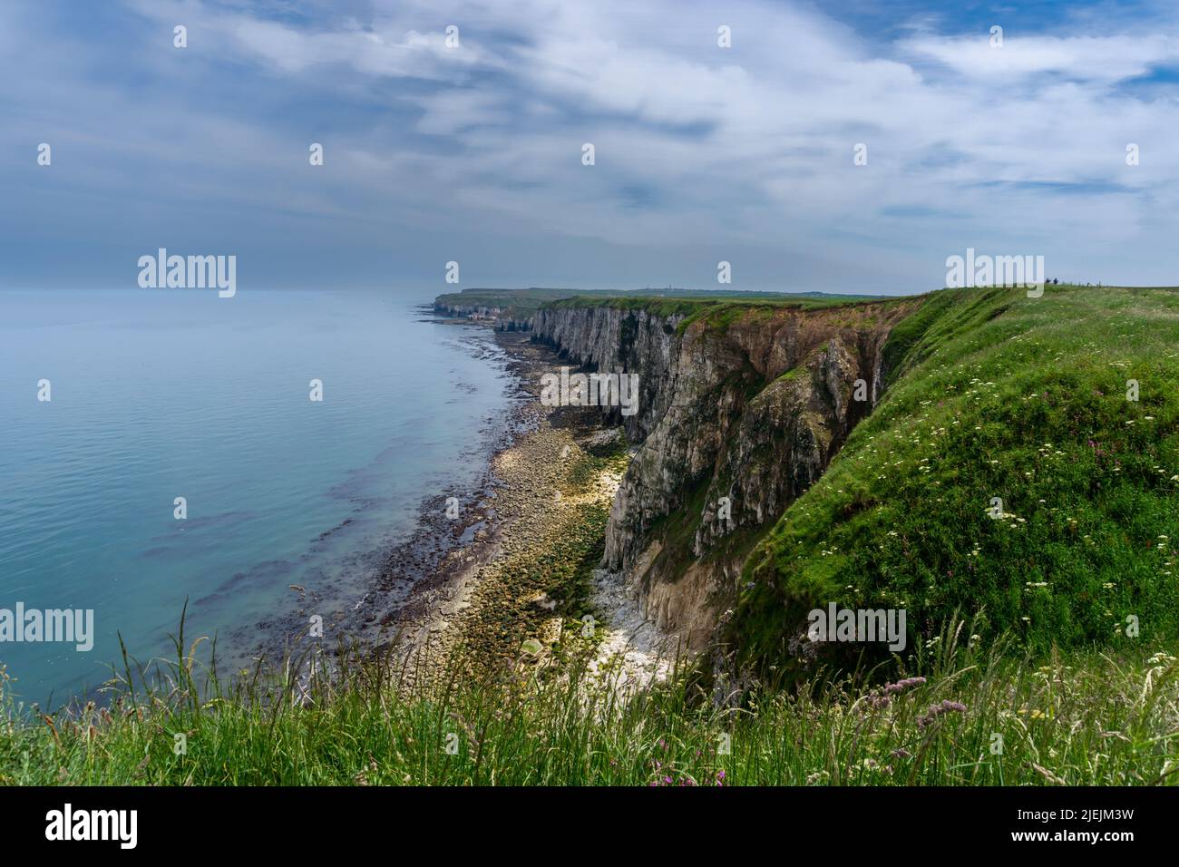 A landscape view of the cliffs at Flamborough Head on the North Sea ...