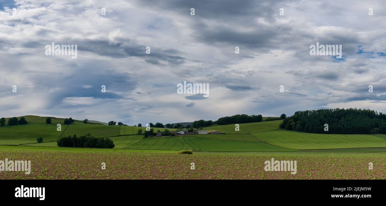 panorama landscape of rolling hills and fields with a large farmhouse ...