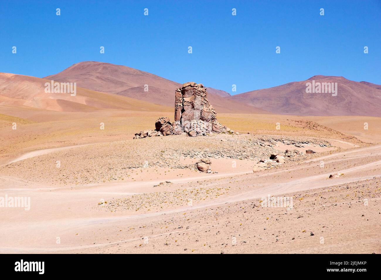 Geological monoliths, the Pakana Monks, close to Salar the Tara in the ...