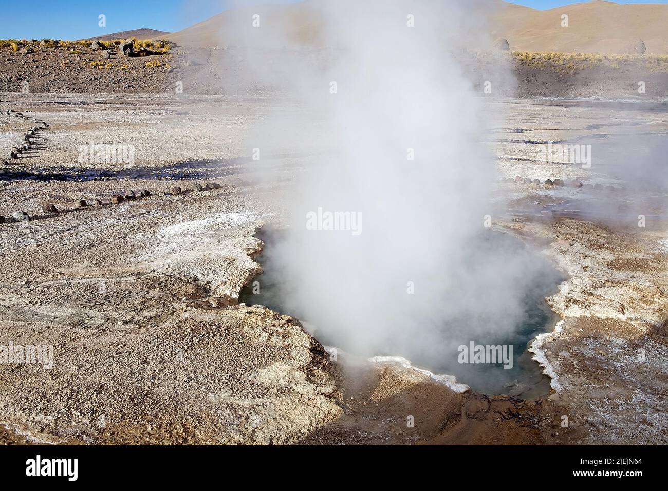 El Tatio geysers, Chile. El Tatio is a geyser field located in the ...