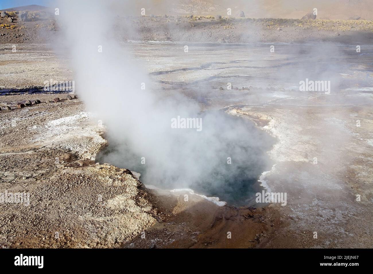 El Tatio geysers, Chile. El Tatio is a geyser field located in the ...