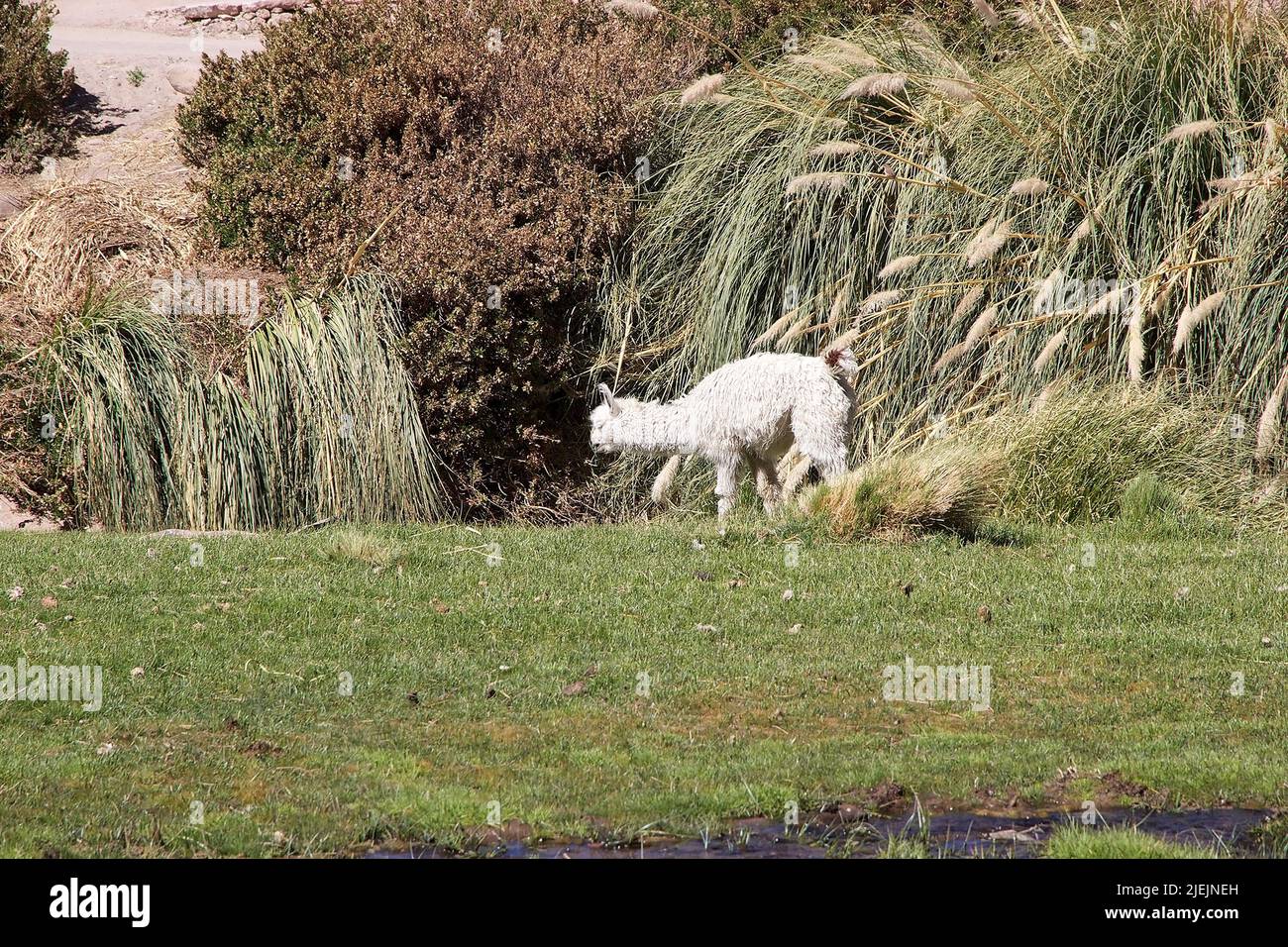Lama gorge hi-res stock photography and images - Alamy