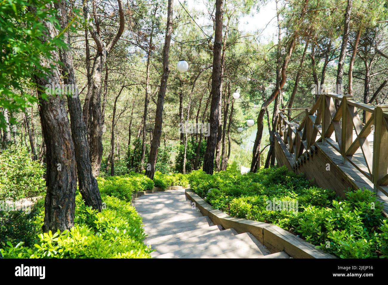 Ataturk Kent Ormani in Istanbul Turkey. Ataturk Forest. Green spaces in ...